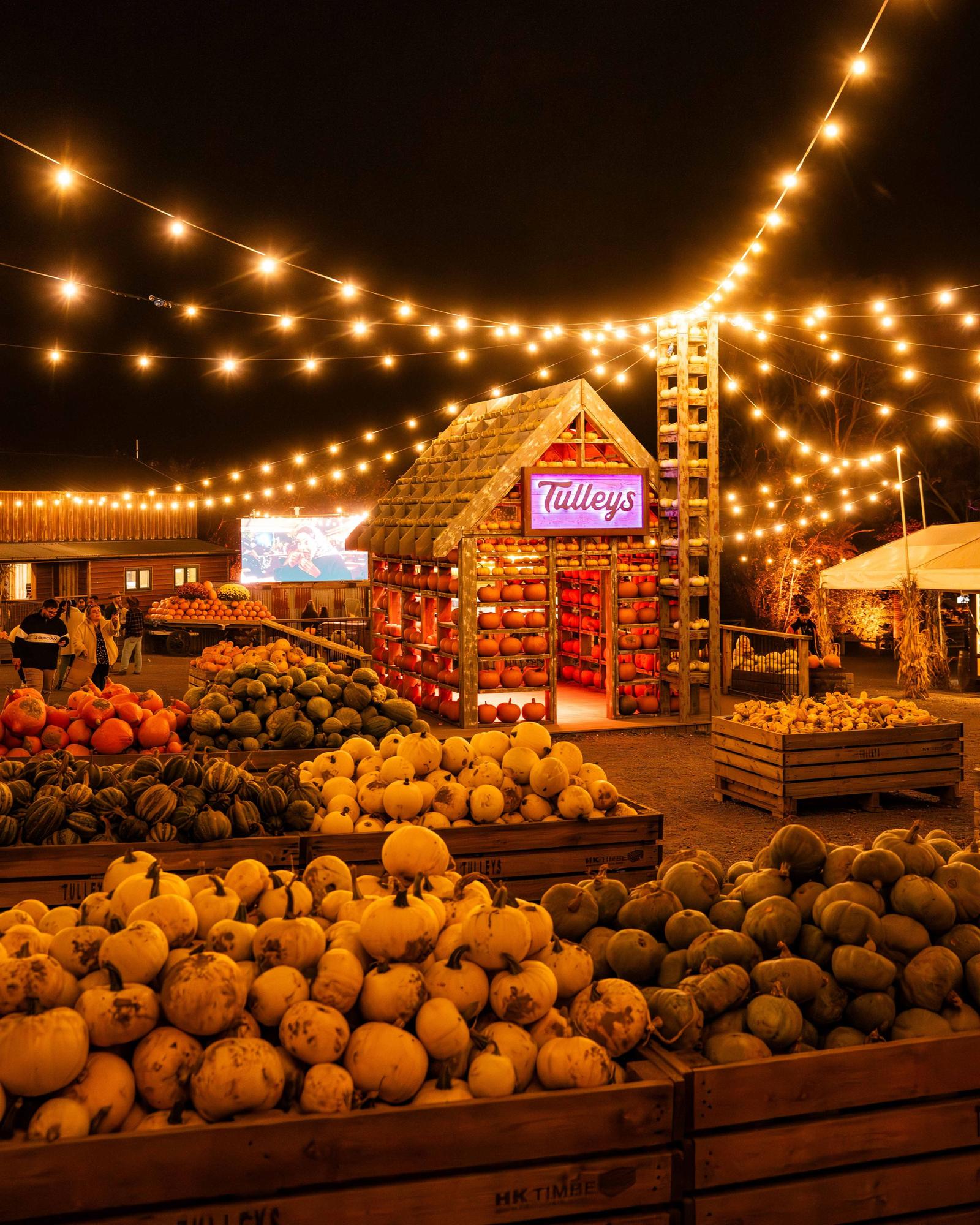 Tulleys Pumpkin Nights returns with new Woodland Walk and 1.5 million ...