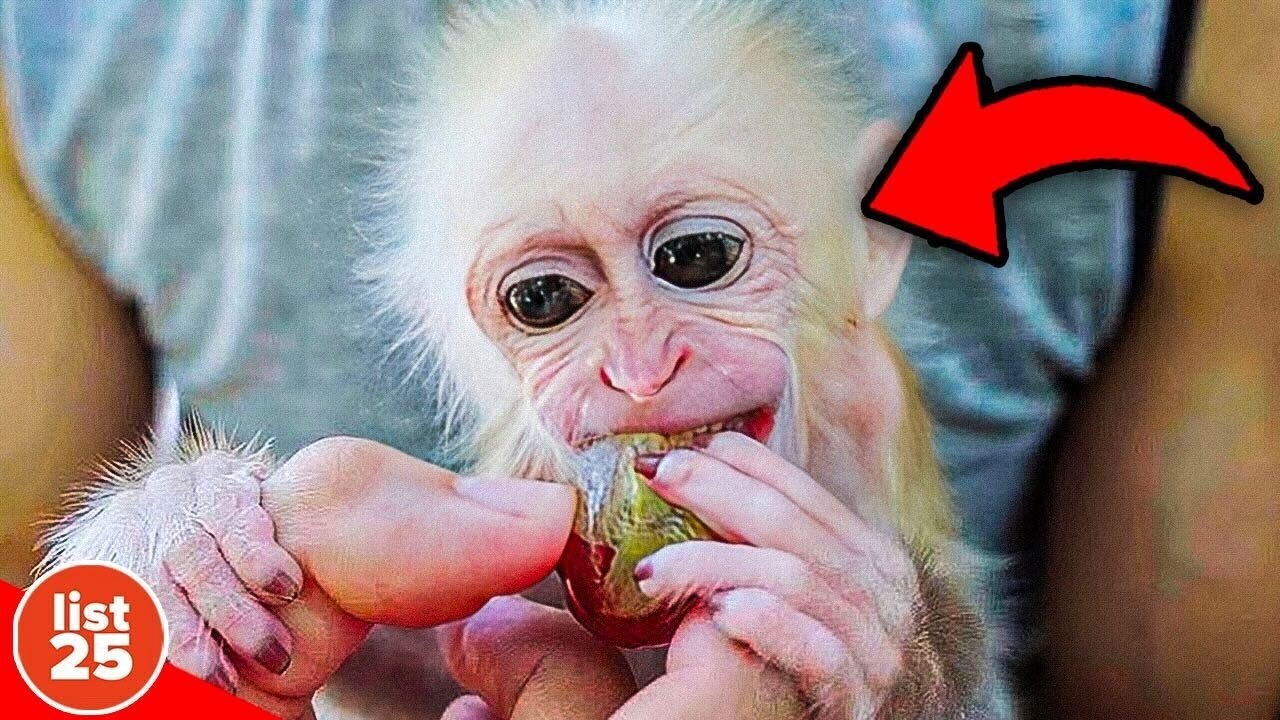 25 Things That Are Perfectly Legal But Feel Criminal