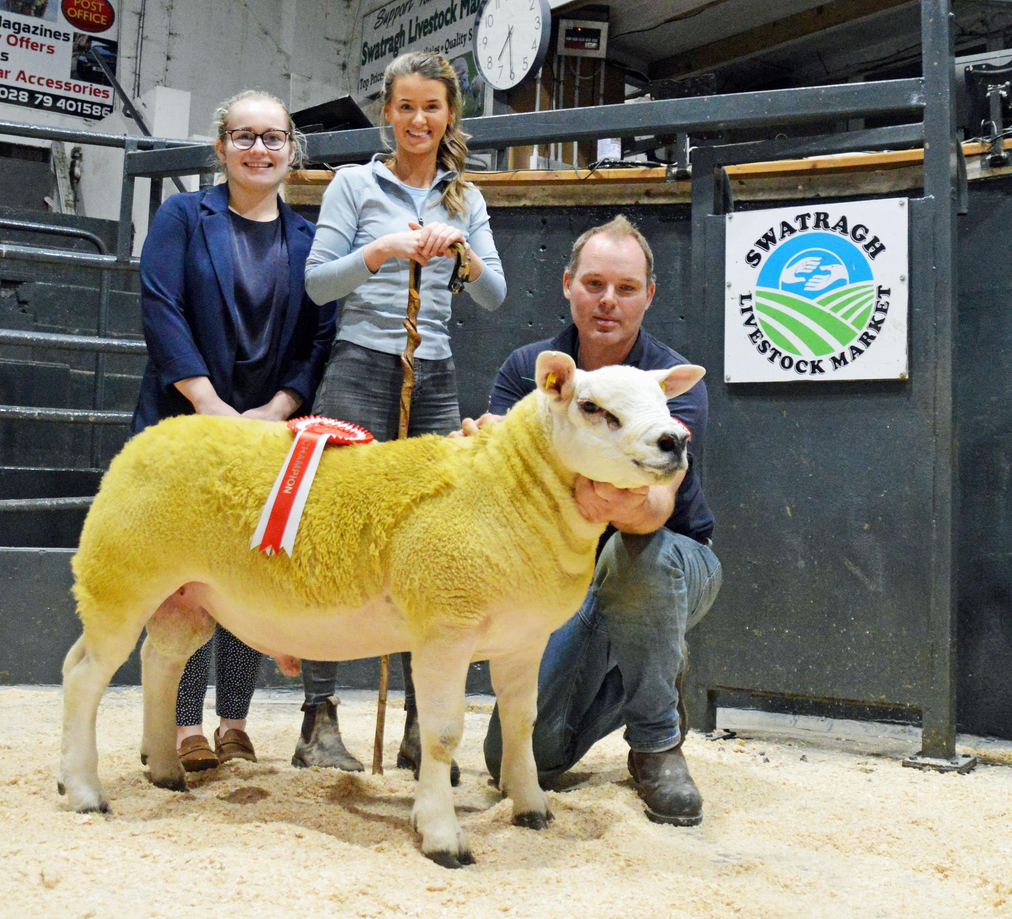 Carnteel Flock Sale Leader