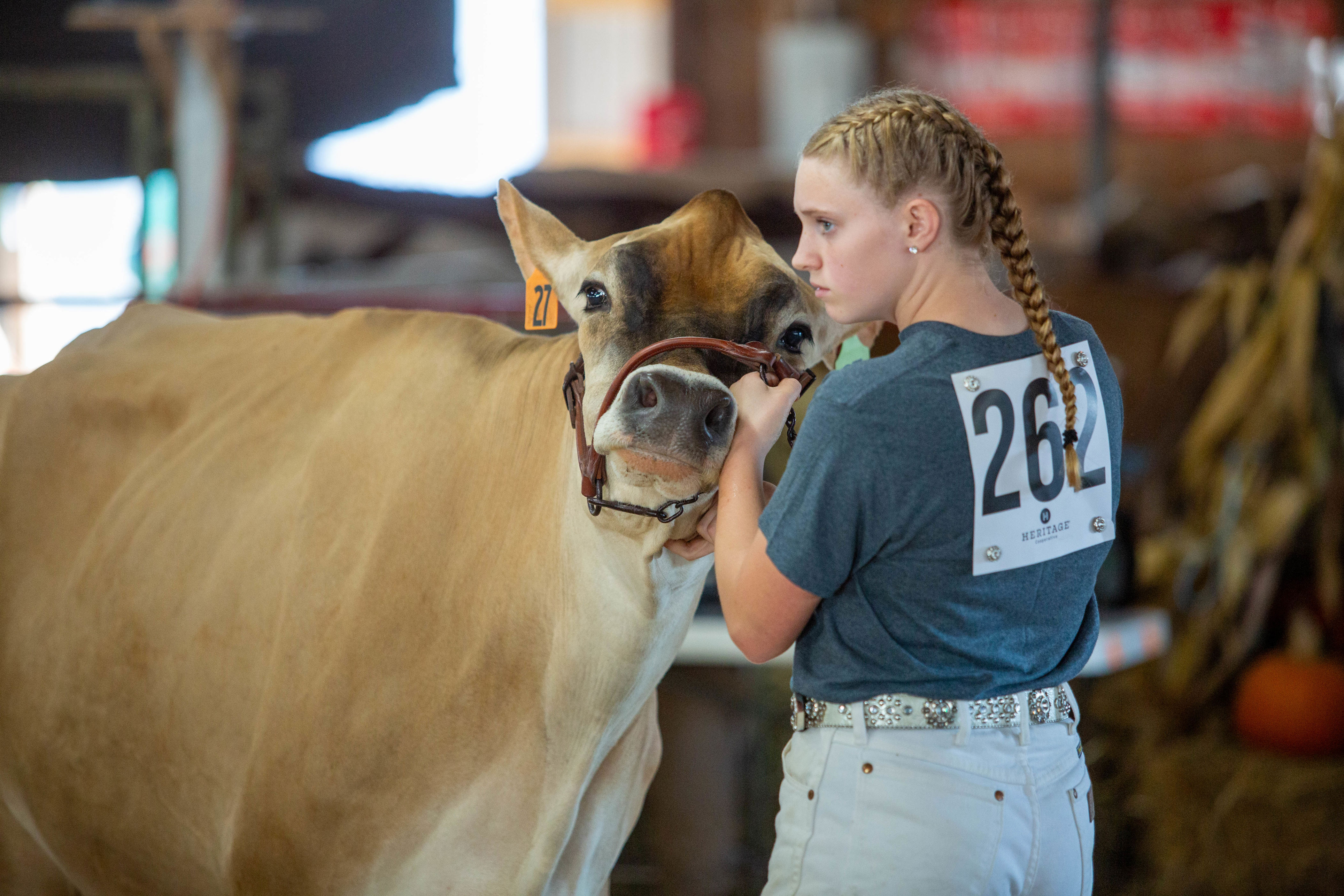 Highlights of what's to come Sept. 29-30 at the Coshocton County Fair