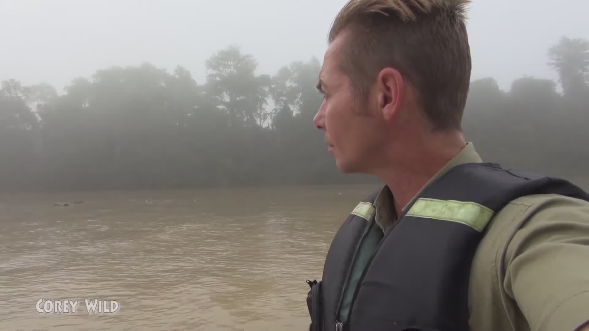 Top 10 dangerous animals in the world | Creepy crawlers