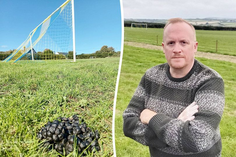 Cornwall football club's first game on new pitch cancelled - due to ...