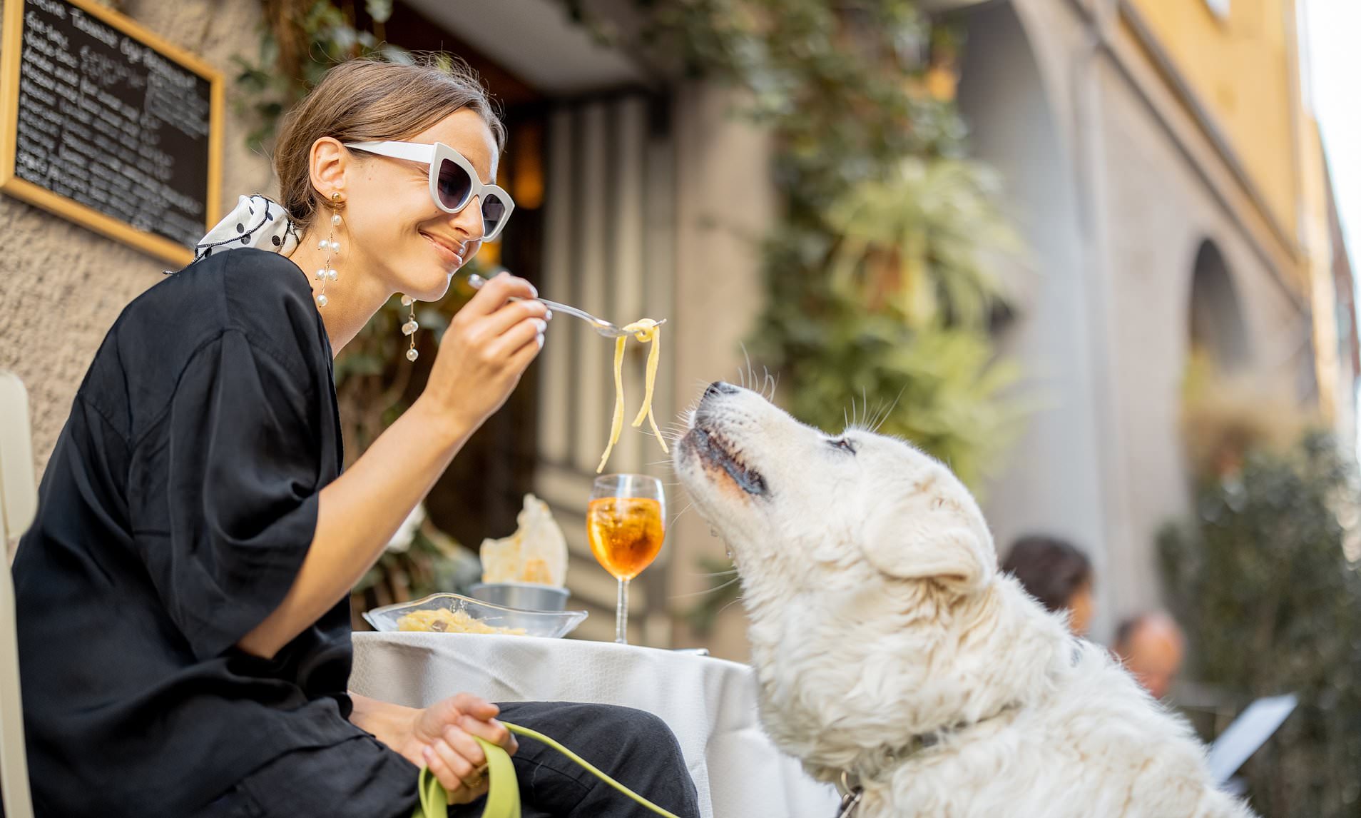 Italian city set to introduce daily 'dog fee' for tourists