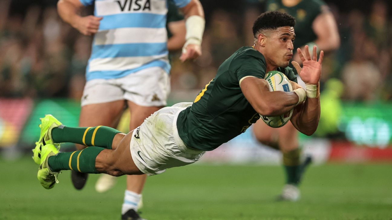 South Africa vs Argentina - Can the Springboks seal back-to-back Rugby ...