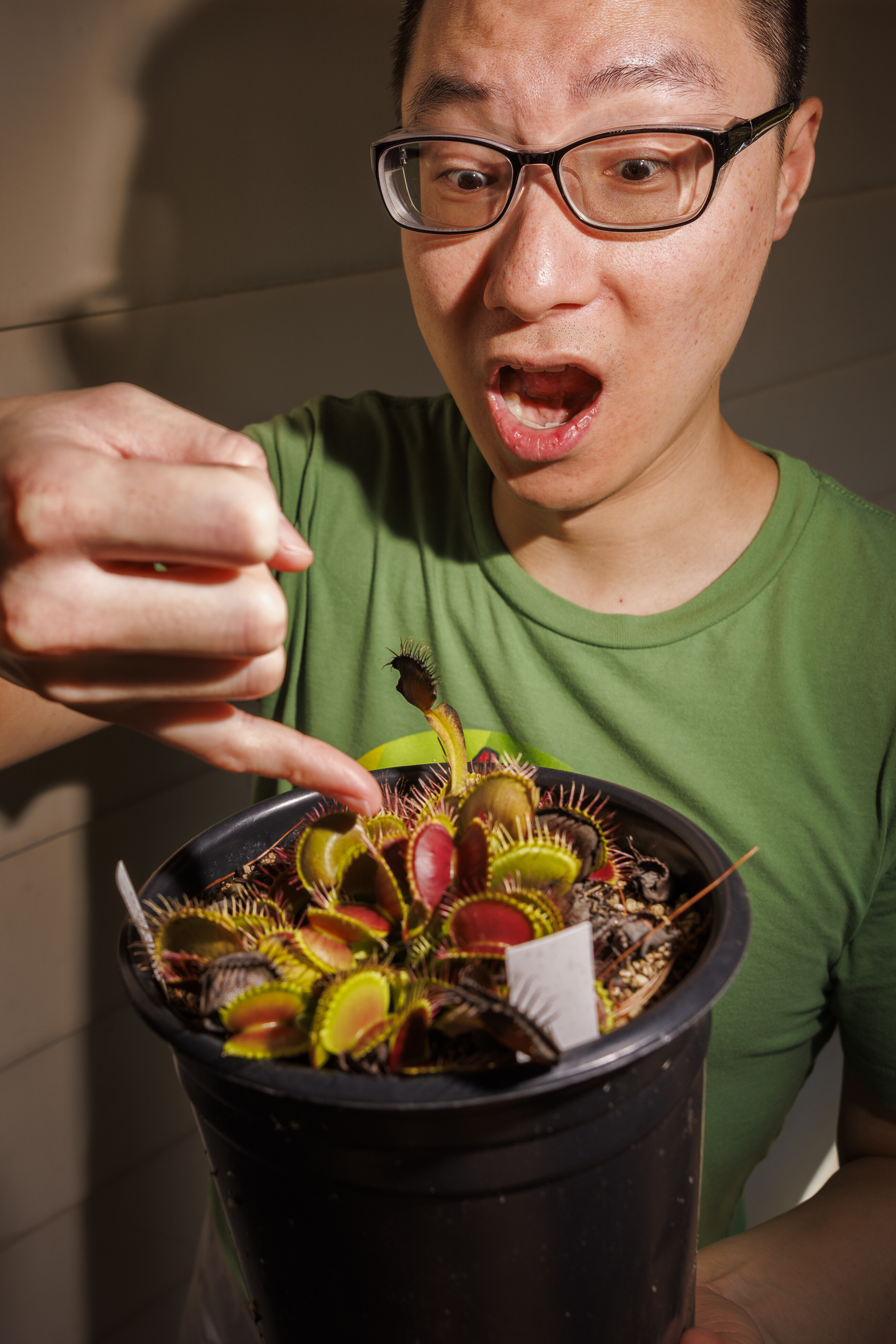 ‘The cool factor’: Inaugural Philly-area garden show to celebrate ...