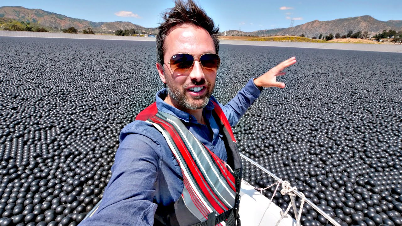 Why 96 Million Black Balls Were Released Into A Los Angeles Reservoir