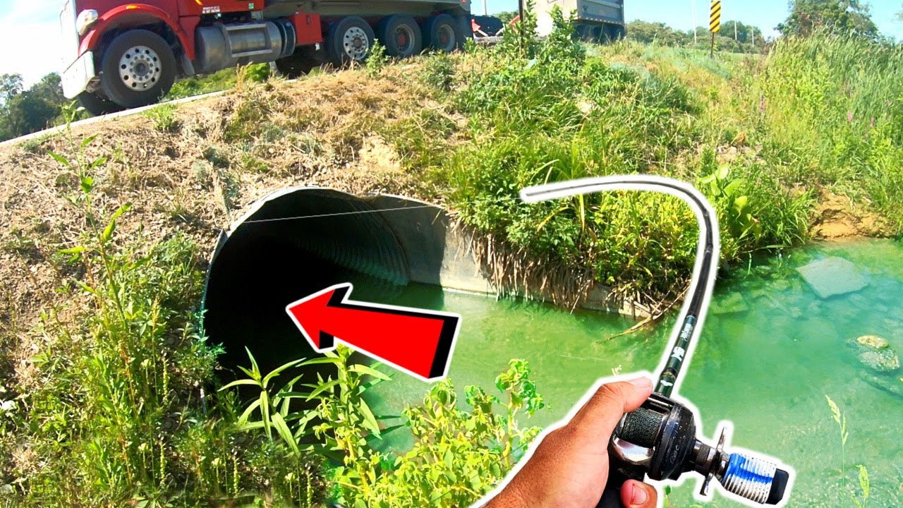 Giant fish were hiding inside this underground tunnel