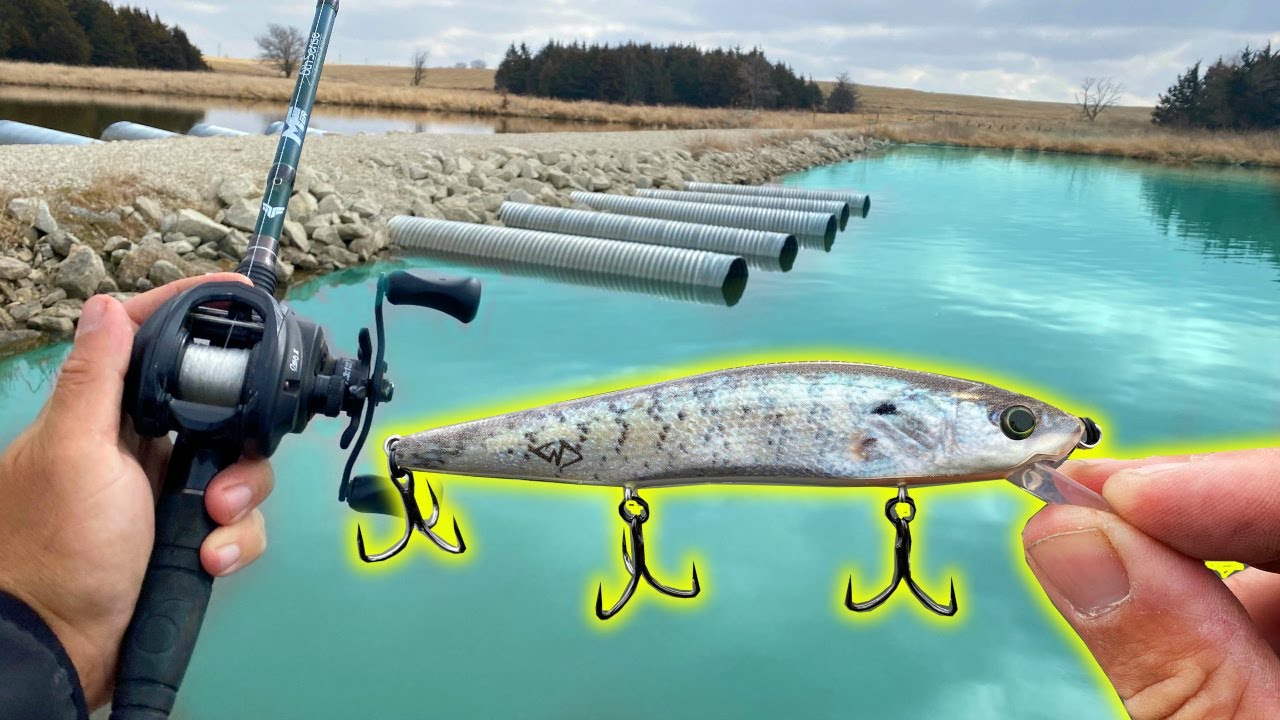 Giant bass devours ultra-realistic jerkbait on camera