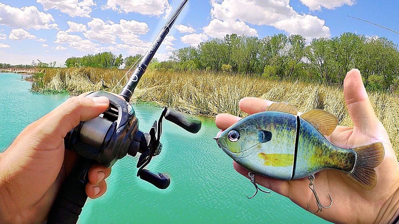 Searching for big spring bass in heavy lake cover