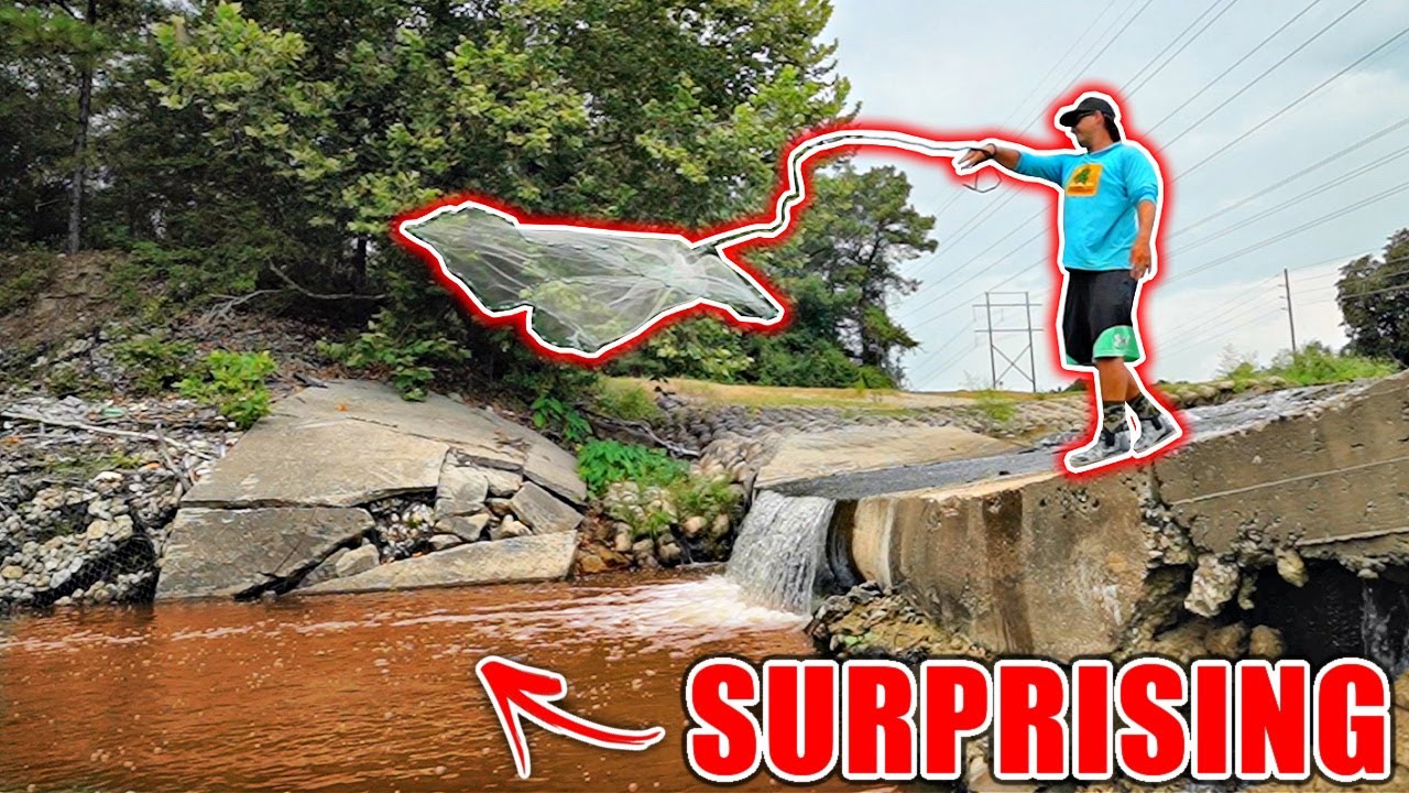 I had no idea fish hide beneath this secret waterfall