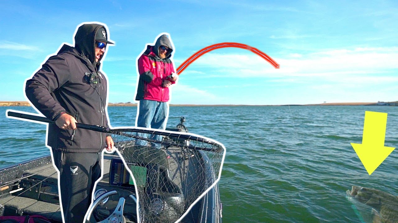 Massive fish gets caught on camera during our state record quest