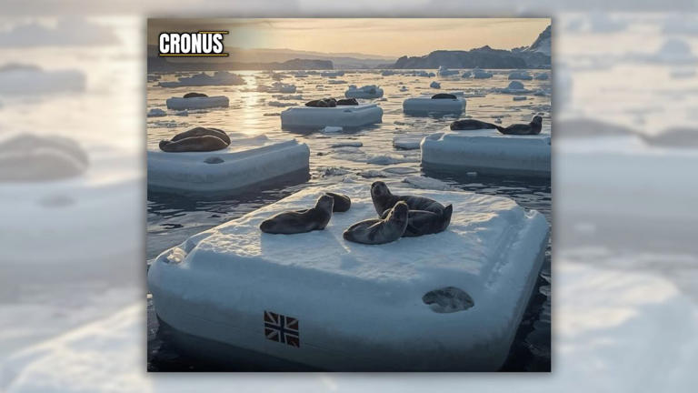 Has Norway created artificial ice pods for Arctic seals to replace ...