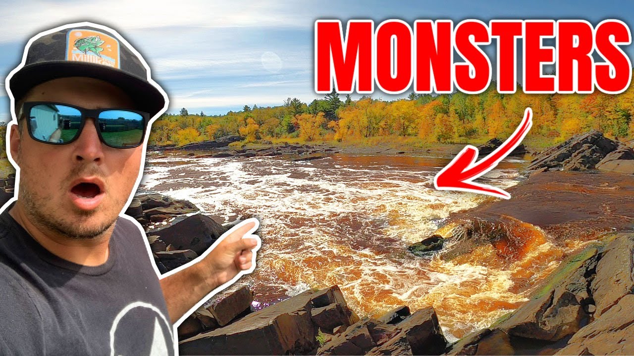 I cannot believe what is swimming in a raging river