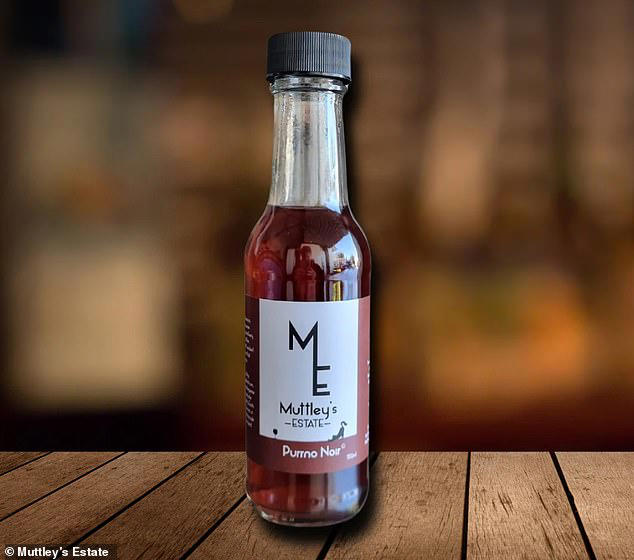 Anyone fancy a glass of Purrgundy? Pet-friendly wine promises to give ...