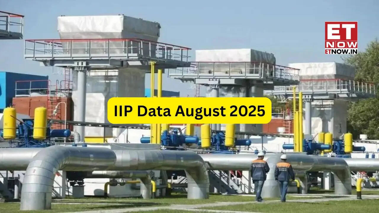 IIP Data August 2025: India's industrial production grows 4% MoM - Full ...