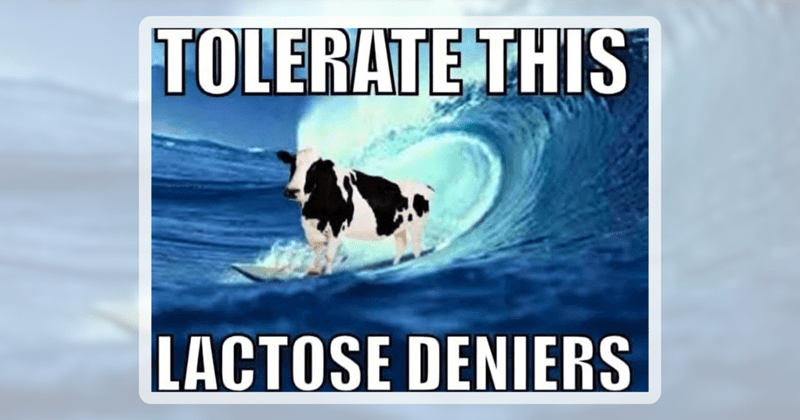 20+ Moorvelous Cow Memes to Milk Every Last Drop of Laughter