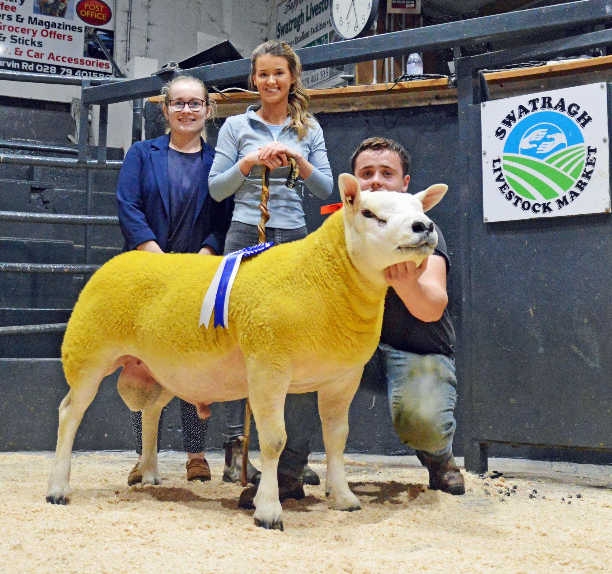 Carnteel Flock Sale Leader