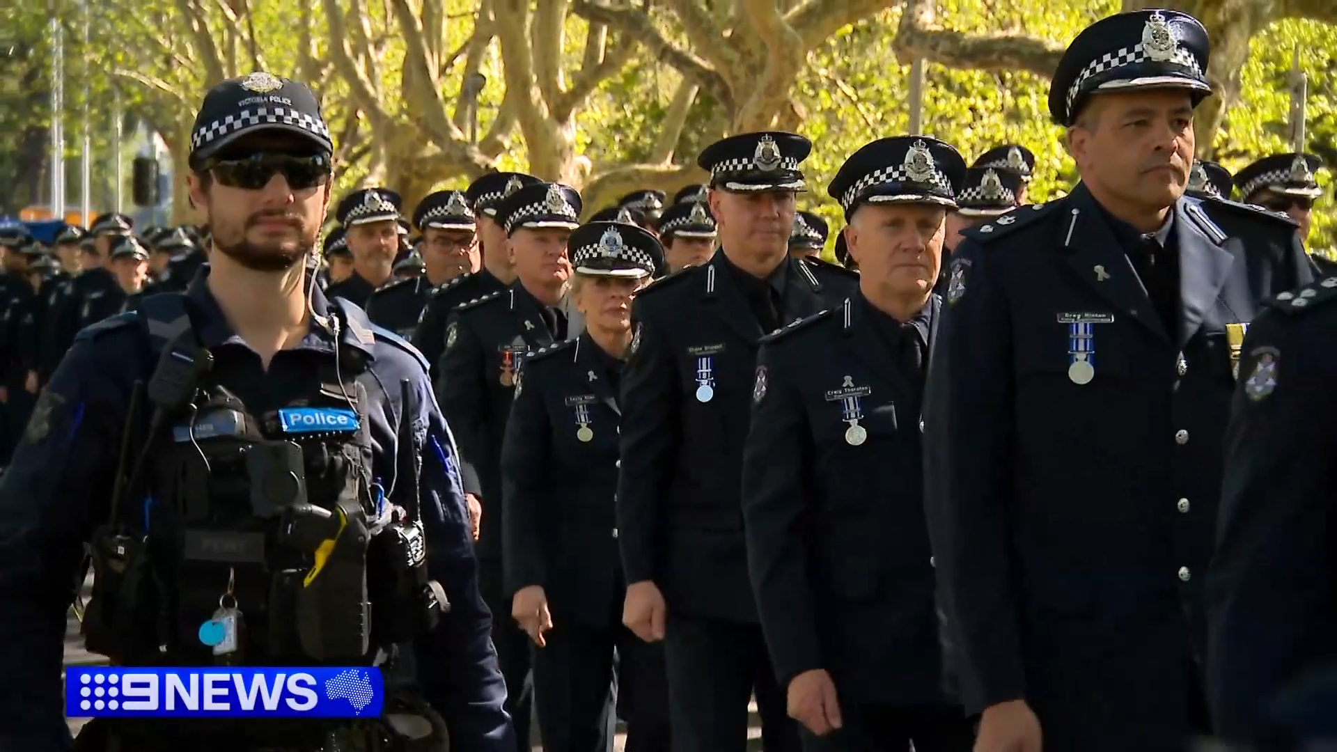 Bearcat spotted as police operation unfolds in manhunt for accused cop ...