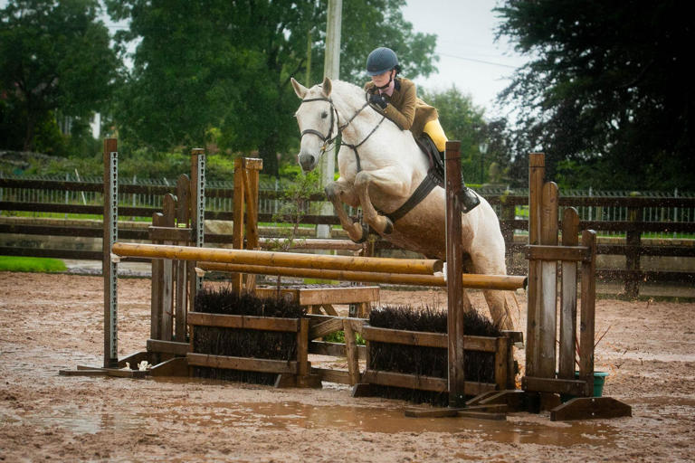 Horse Week: Testing conditions at Hagans Croft's working hunter