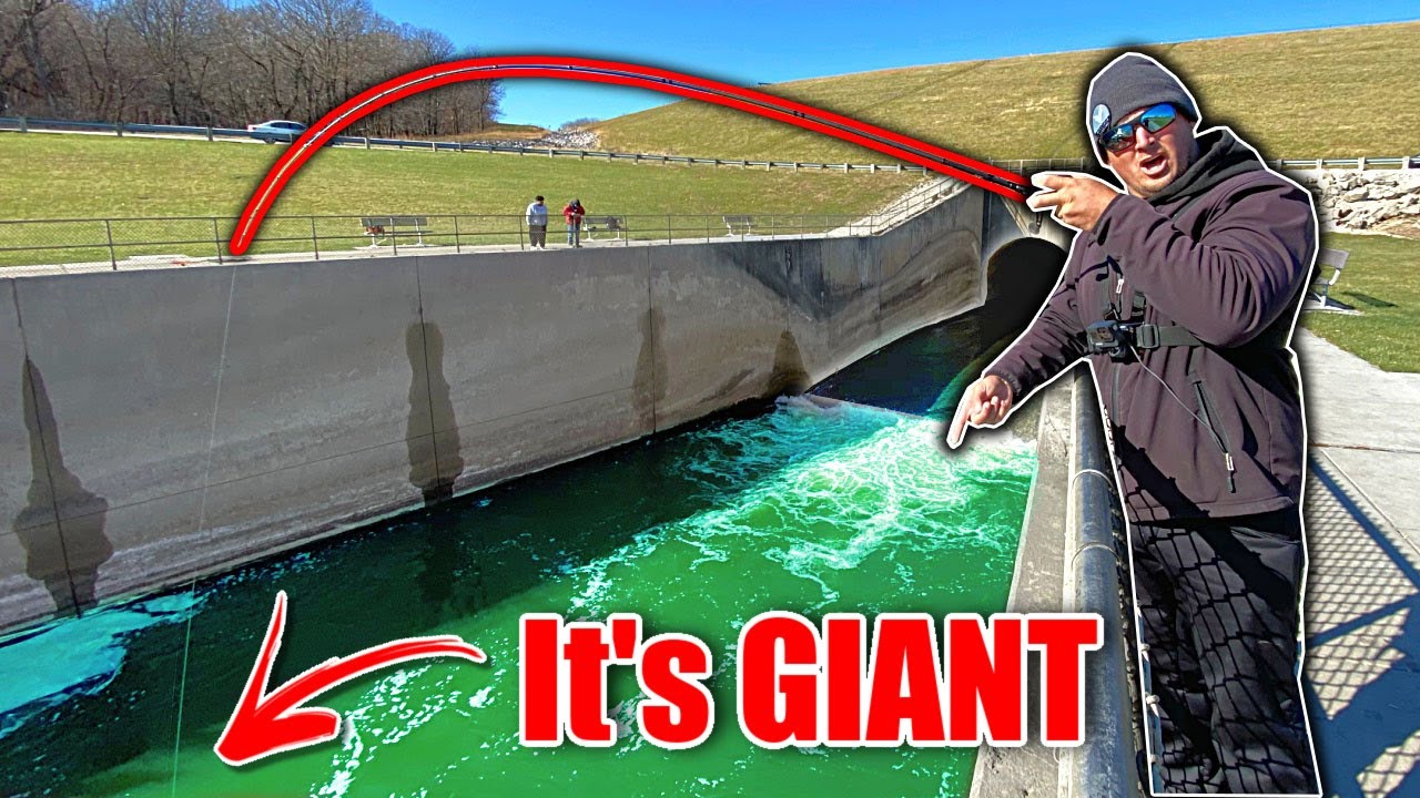 We found a new spillway full of massive fish