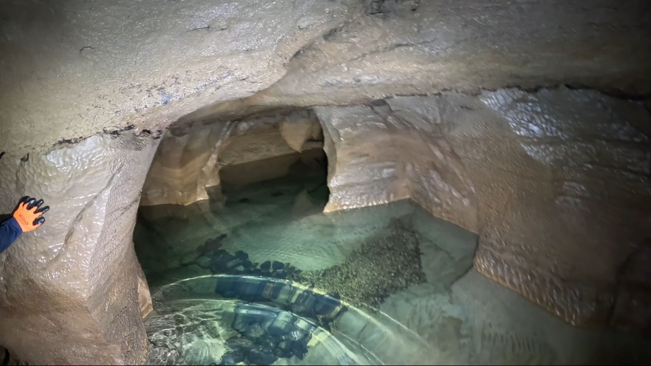 We Found a Giant Albino Fish Hidden in a River Cave