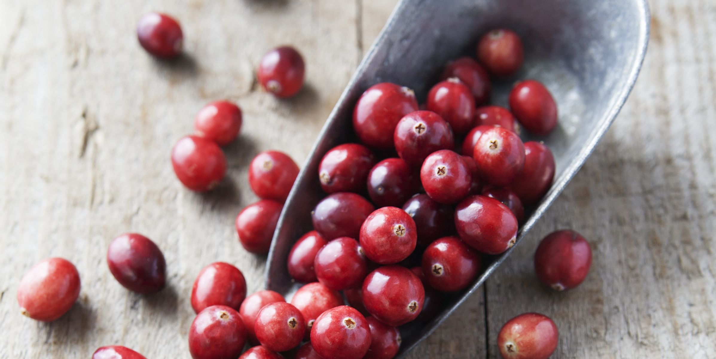 A Vet Explains What to Know Before Feeding Your Dog Cranberries