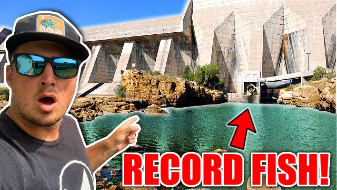 What we found behind this massive urban dam