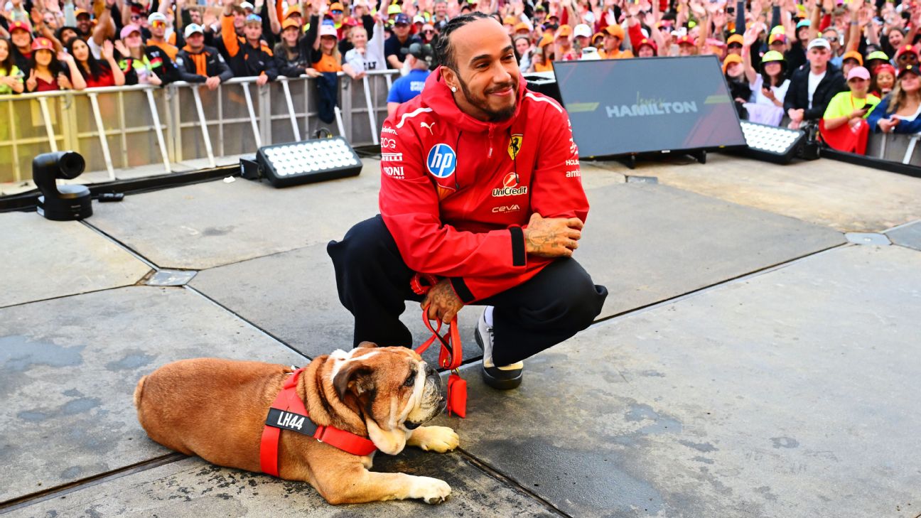 Lewis Hamilton mourns beloved dog, Roscoe: 'My best friend'