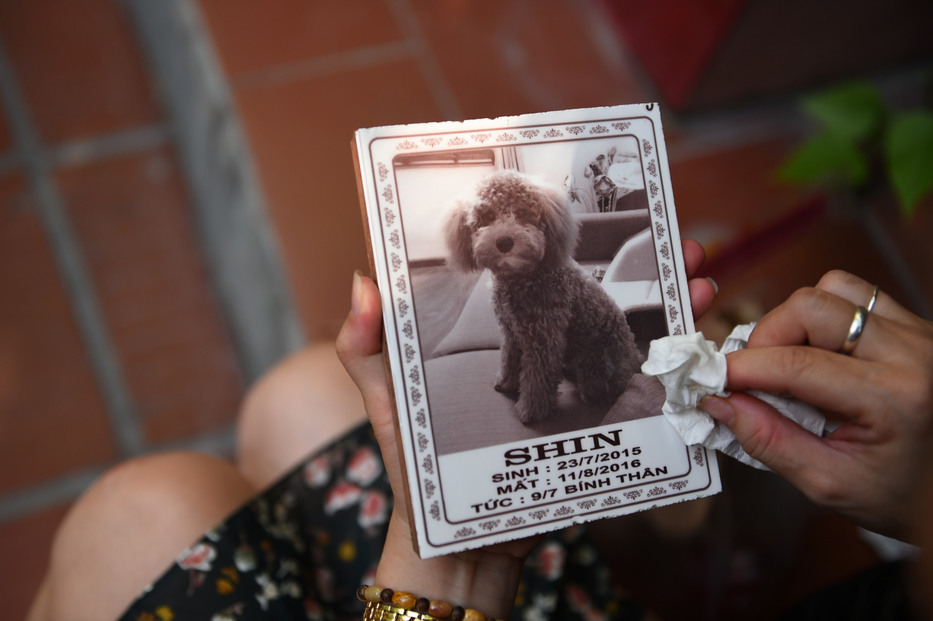 Should you be allowed time off work to grieve for a pet?