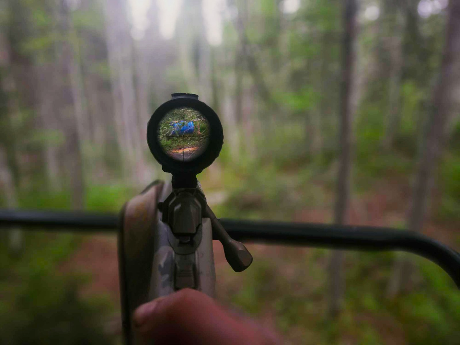 10 Clear Signs You’re in the Perfect Hunting Spot