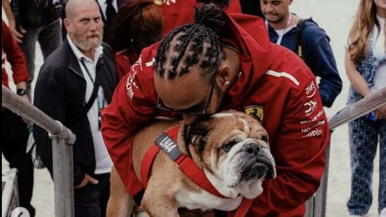 F1 star Lewis Hamilton mourns pet dog Roscoe's death in emotional post ...