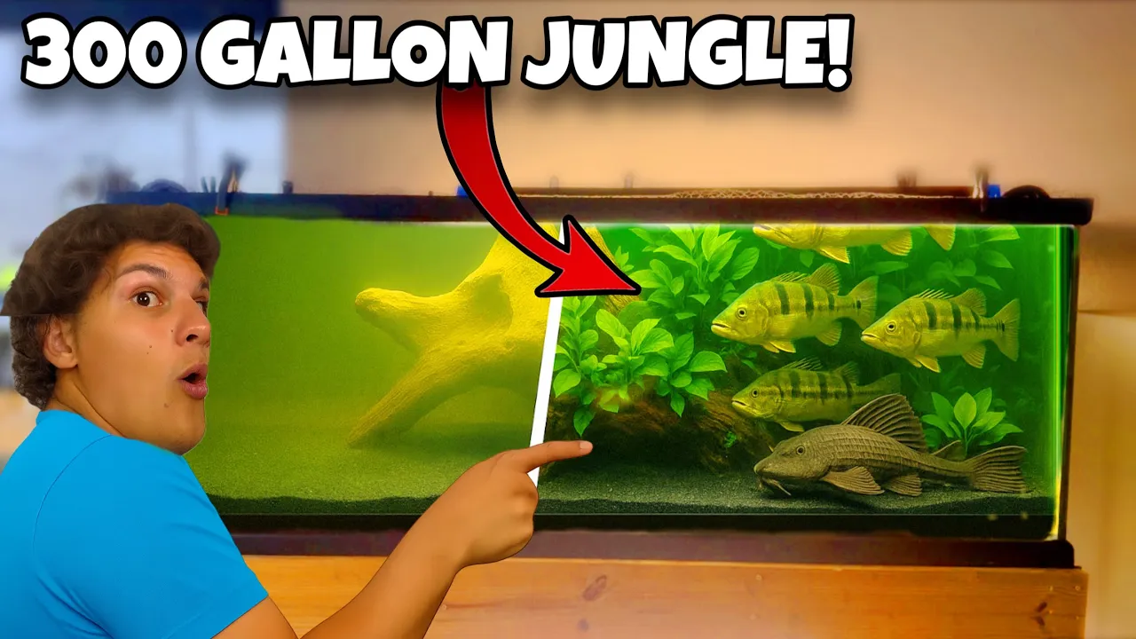 I Built a 300-Gallon Monster Fish Jungle - Insane Transformation