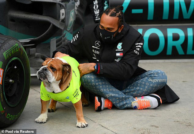 Is it safe to put your dog on a vegan diet? As Lewis Hamilton's plant ...