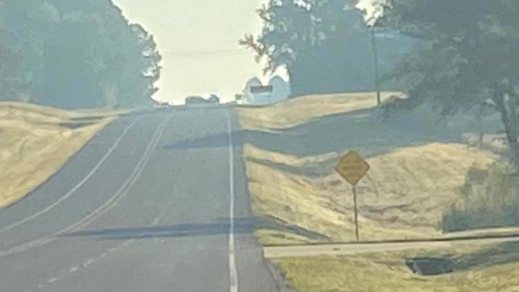 4 killed, victims identified in major crash on State Highway 31 along ...