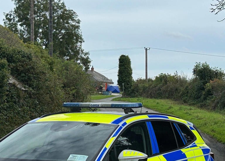 Man arrested after three people found dead at property in Co Louth