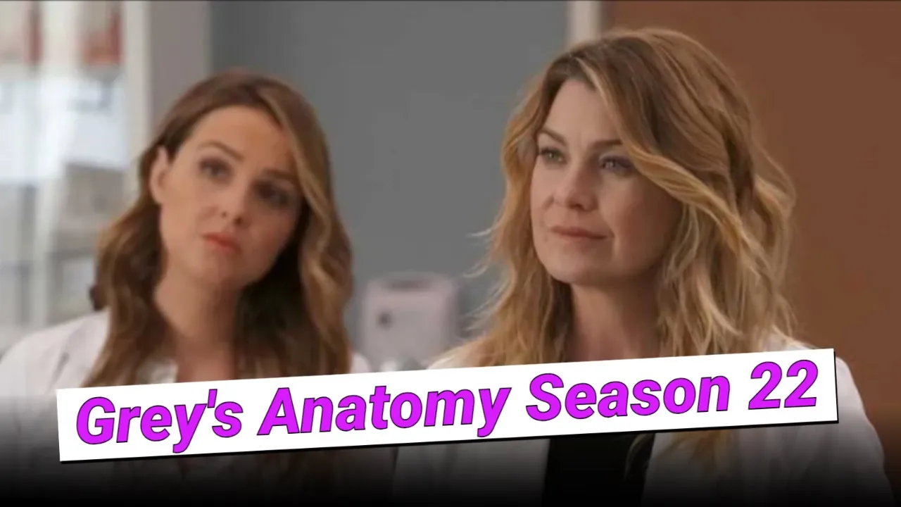 'Grey's Anatomy' Season 22 Potentially Just Confirmed A Major Character ...