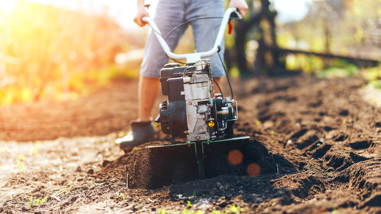 Everything You Need To Know To Start A No-Till Garden