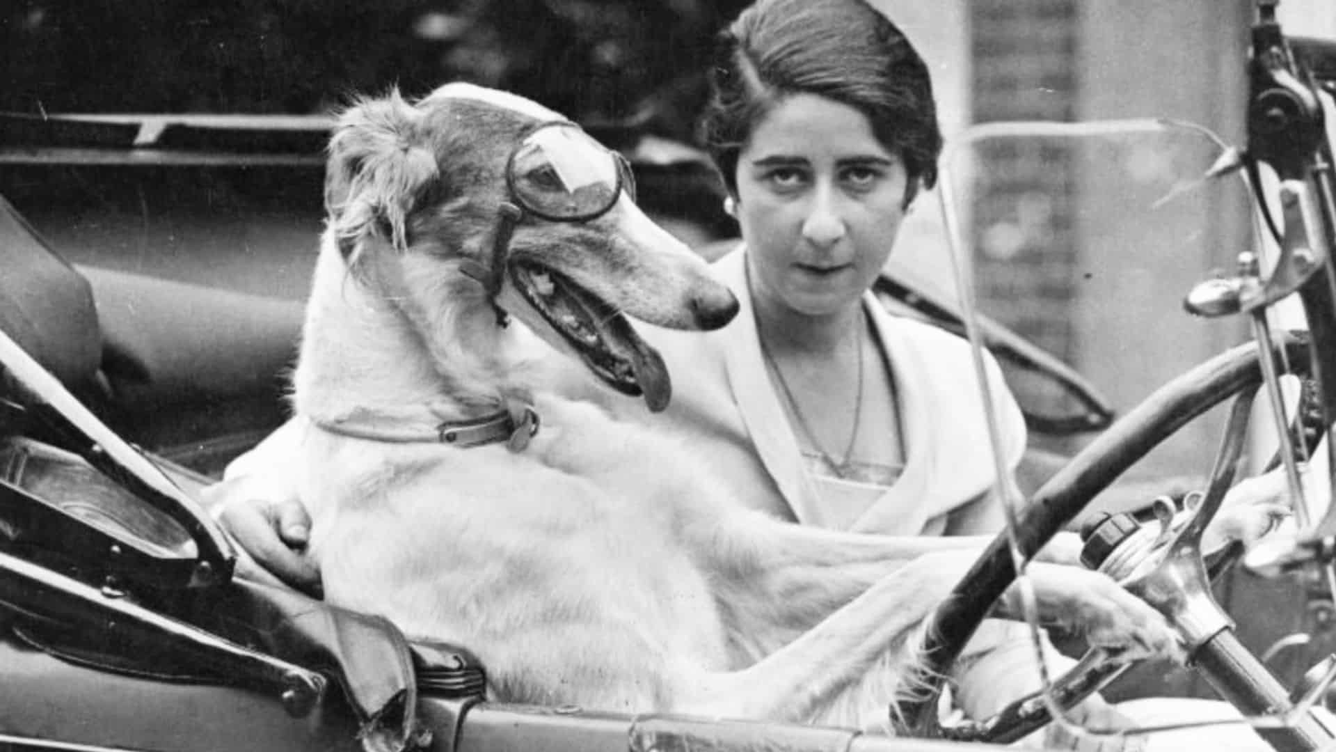 25 Civilized Dog Names Popular in the 20th Century