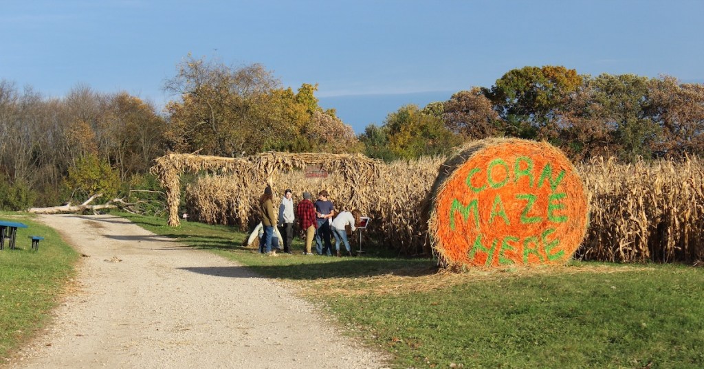 5 Pumpkin Patches in Wisconsin That Belong on Your Fall Calendar