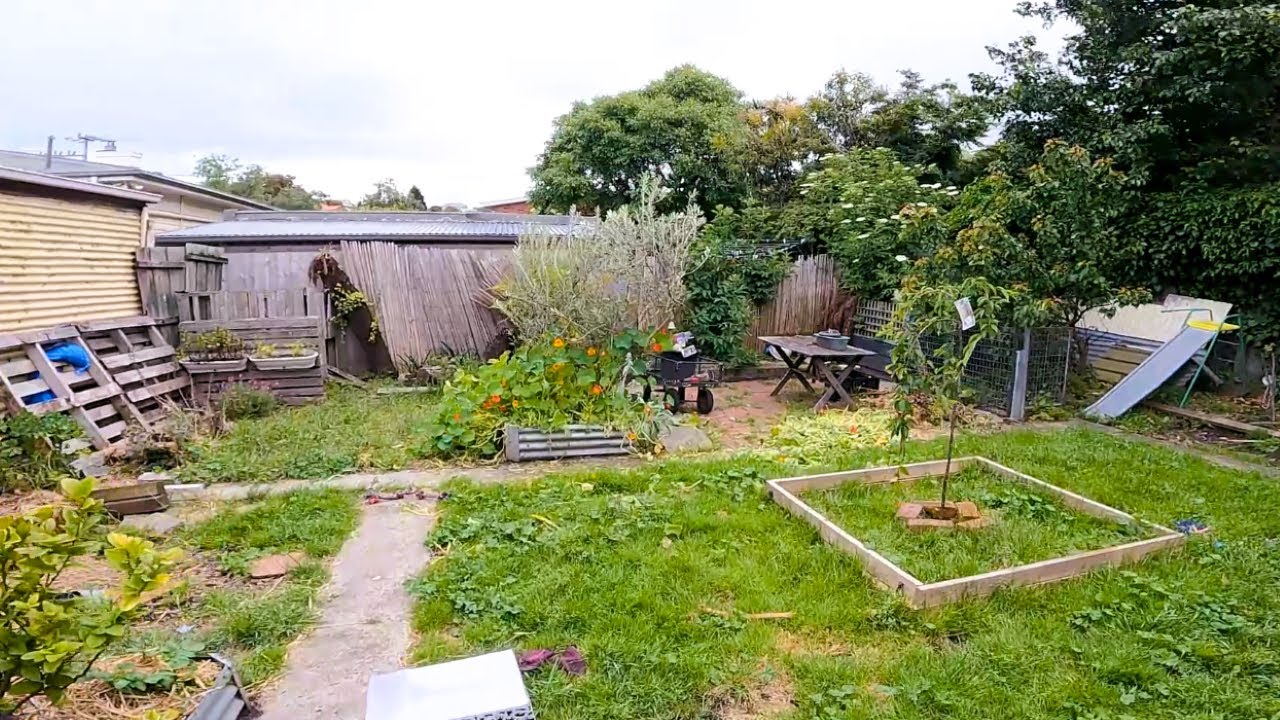 Helping a neighbor: A yard makeover story