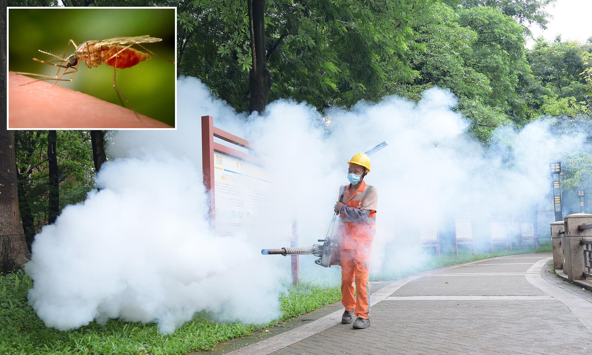 New CDC travel warnings for virus spreading across the globe... as ...