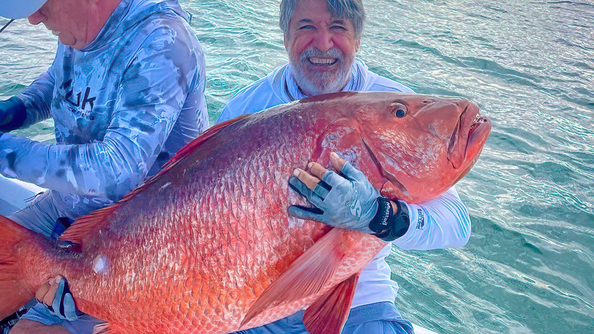 Massive snapper catch off Panama a pending world record