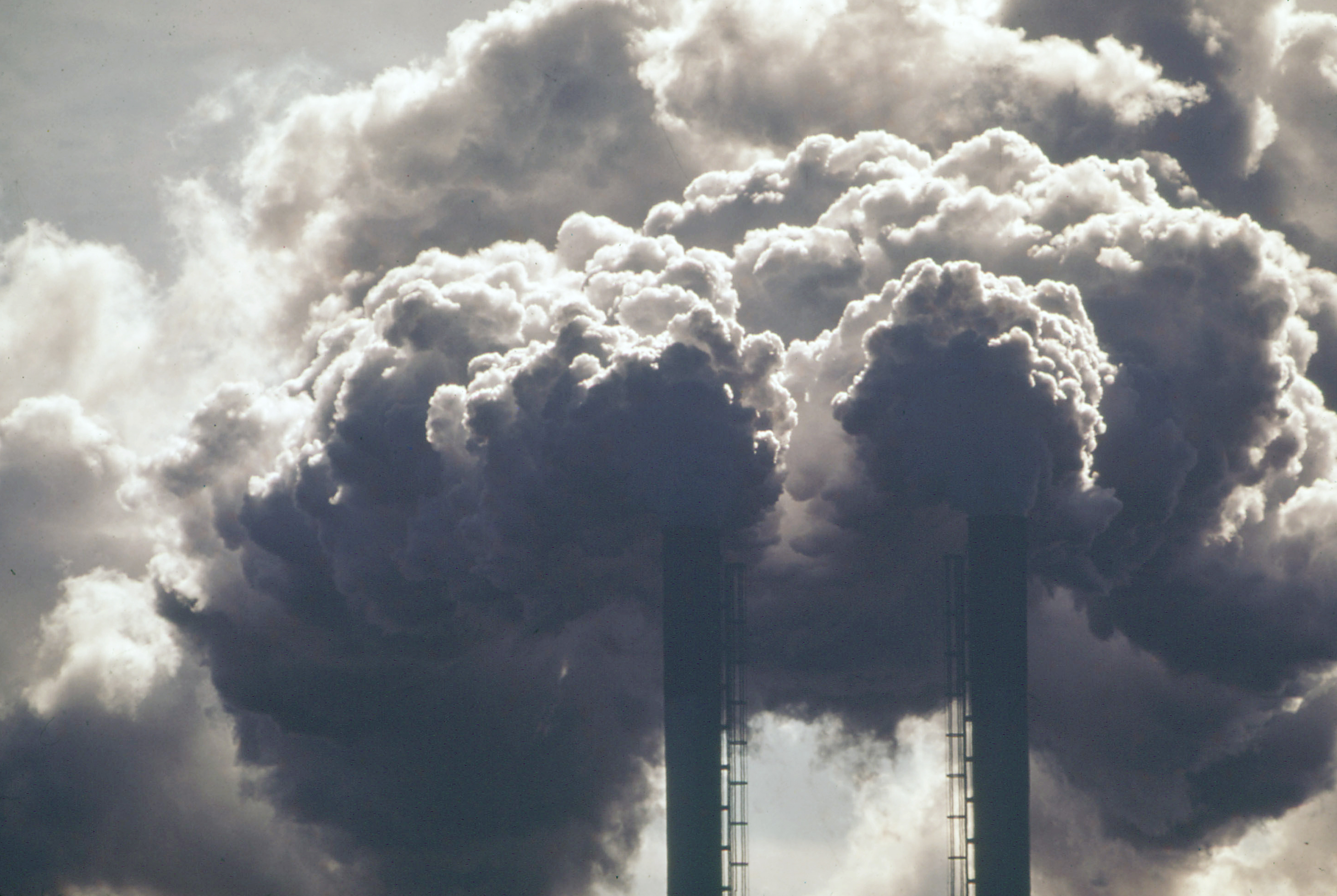 Trump’s Energy Department forbids staff from saying ‘climate change’ or ...