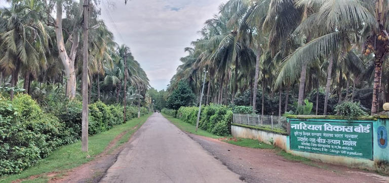 Chhattisgarh’s Kondagaon emerges best in non-traditional belt, tops in ...