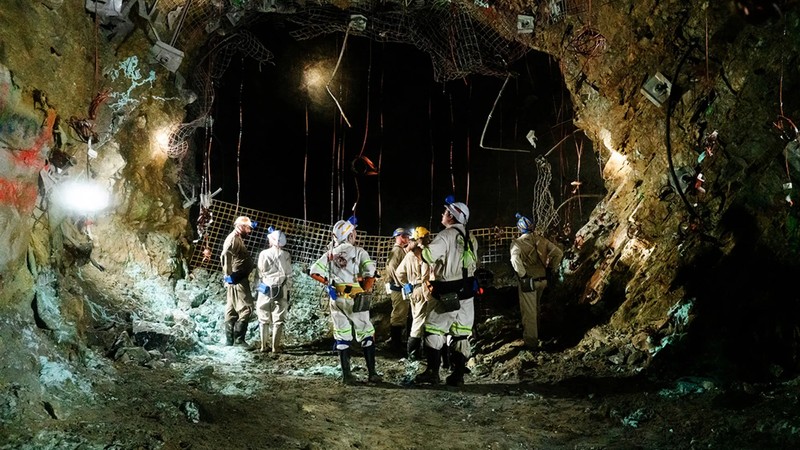 T20 think tank urges action on trade barriers ahead of G20 summit