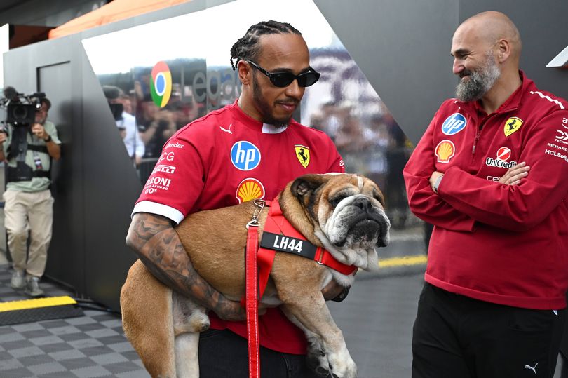Lewis Hamilton's dog Roscoe dies in his arms as heartbreaking news is ...