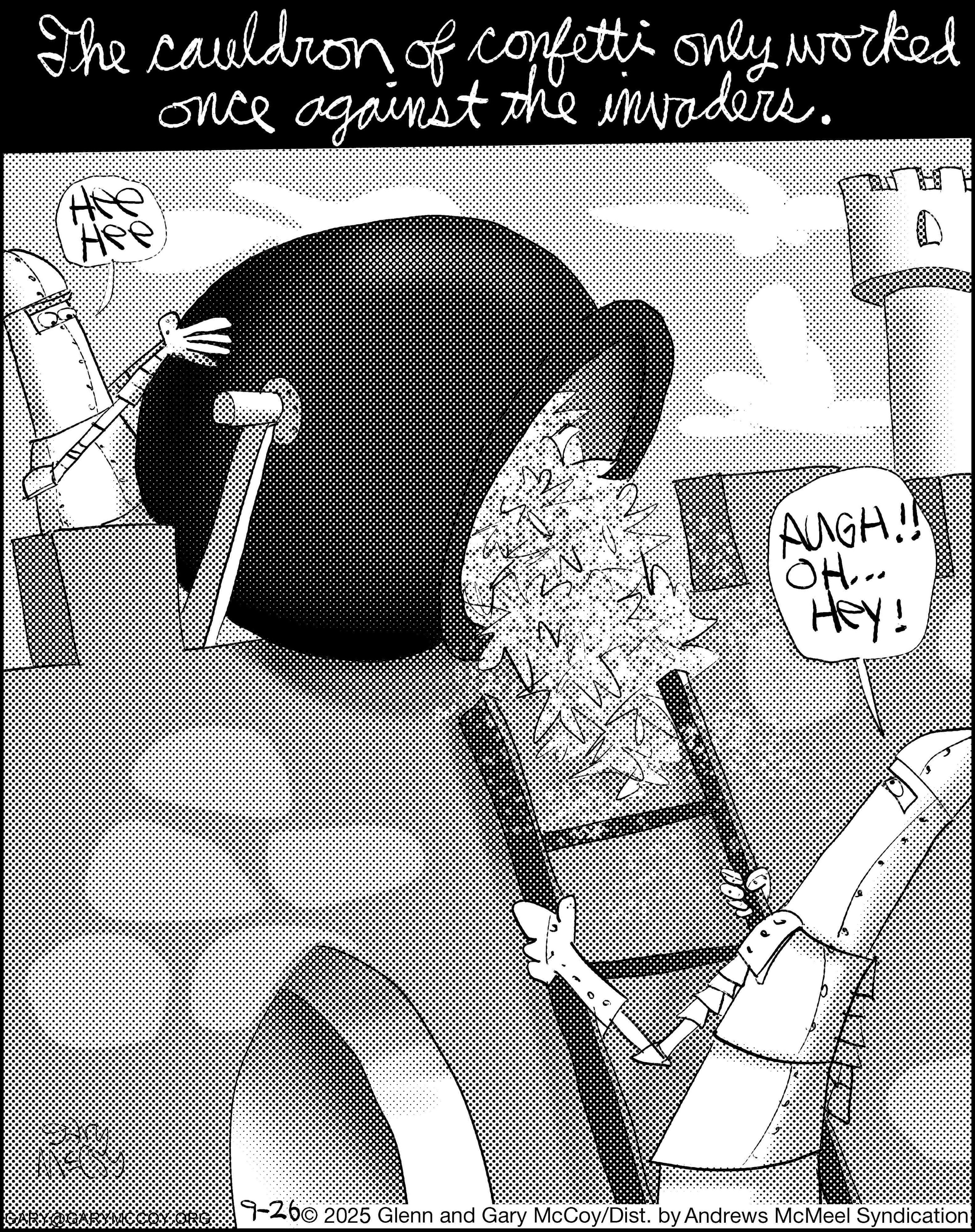 The Flying McCoys by Glenn and Gary McCoy