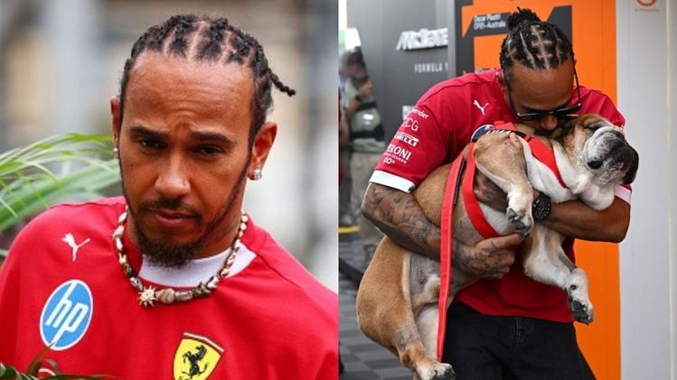 ‘Lost my best friend last night' Lewis Hamilton confirms passing of ...