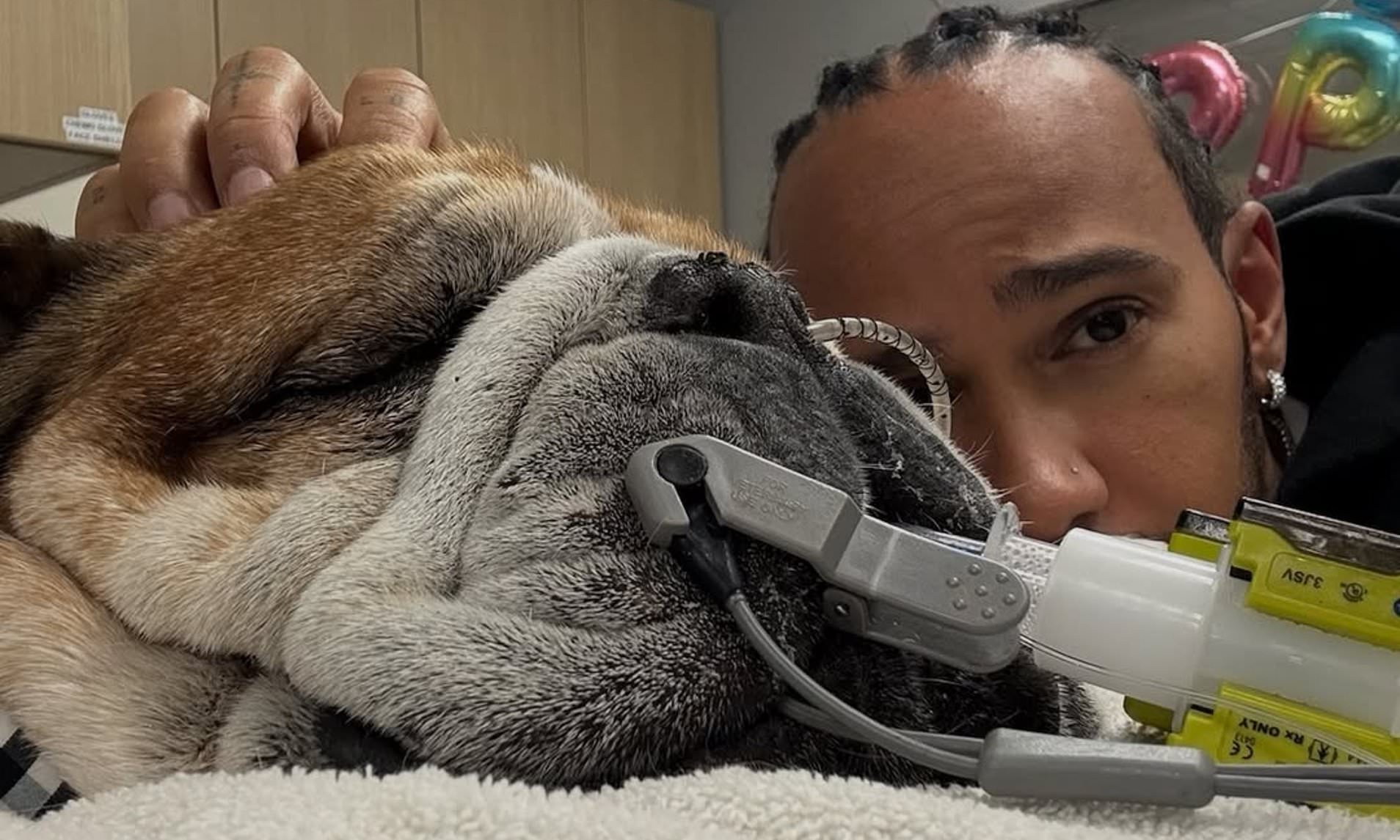 Lewis Hamilton reveals he's had his beloved dog Roscoe put down in ...