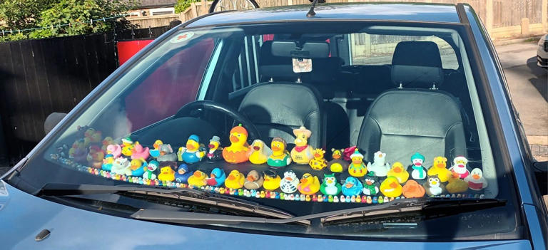 TikTok users go quackers making Mansfield's 'Mrs Hook-a-Duck' a viral ...